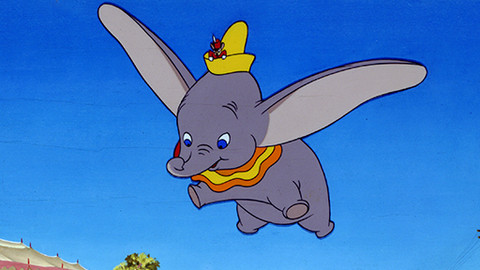 Dumbo - iVysílání | Česká televize