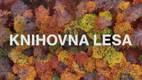 Knihovna lesa - iVysílání | Česká televize