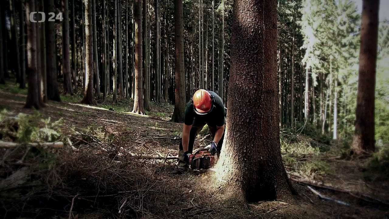 Kalamita - iVysílání | Česká televize
