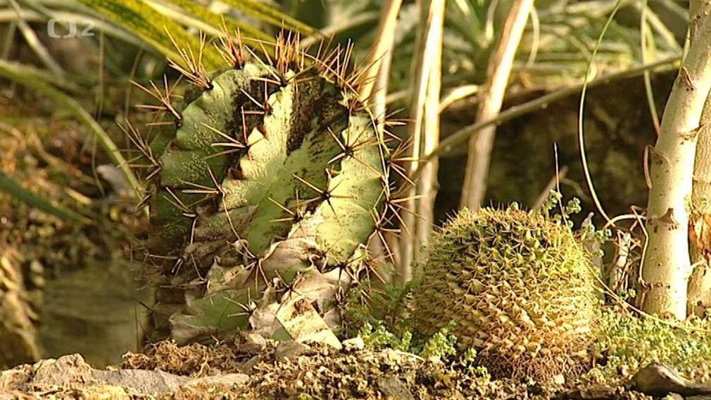 67/72 August Karl Joseph Corda - Dvaasedmdesát jmen české historie ...