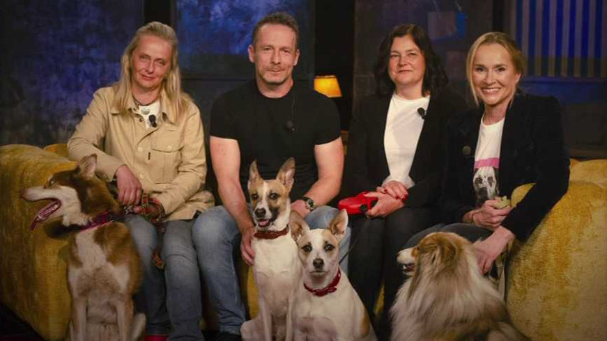 Psí láska - Výborná SHOW | Česká televize