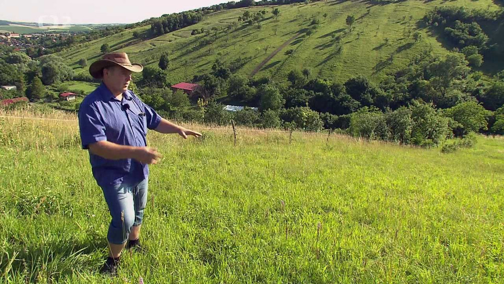 Motýlí ráj - Nedej se! | Česká televize