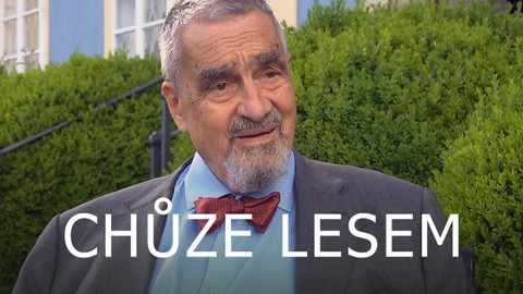 Chůze lesem - iVysílání | Česká televize