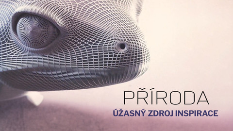 Dokumenty o přírodě - sledujte online | Česká televize