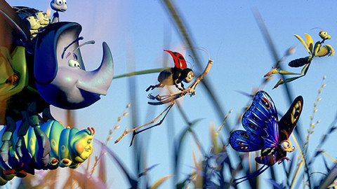 Život brouka - iVysílání | Česká televize