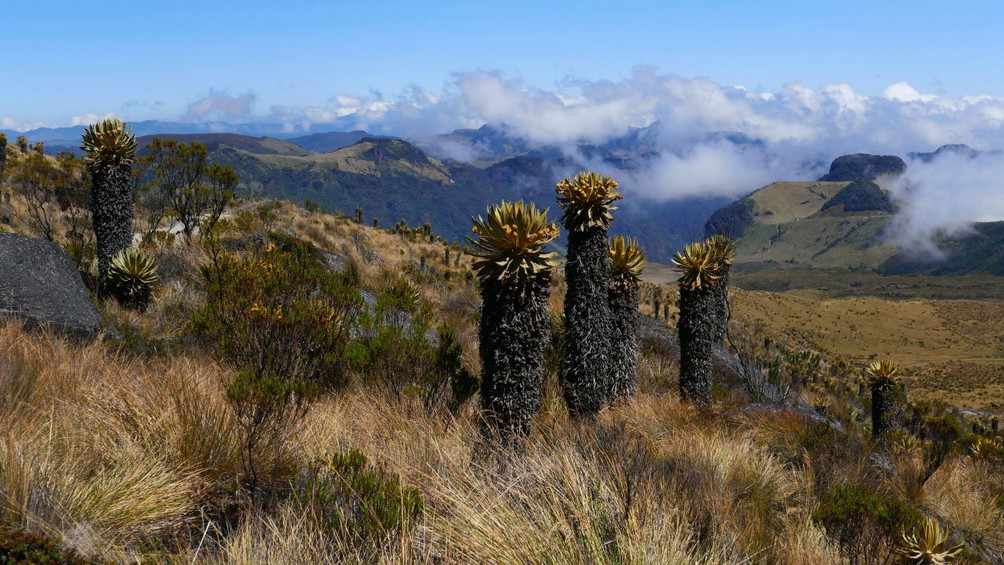 2/2 Od Pacifiku po Andy - Divoká a svobodná Kolumbie | Česká televize