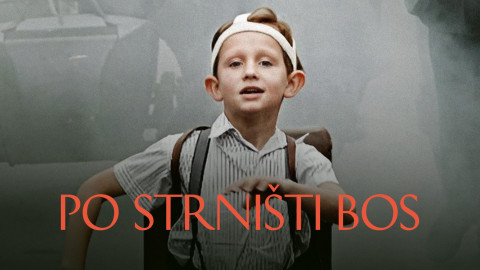 Po strništi bos - iVysílání | Česká televize
