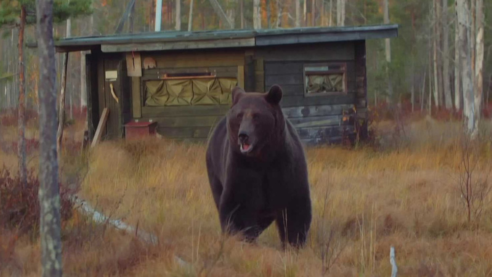 17/18 Les utichá - Rok v medvědím sedle | Česká televize