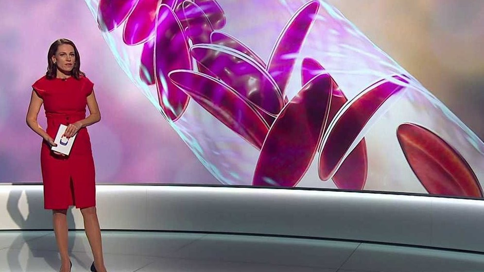 26. listopadu 2023 - Věda 24 | Česká televize