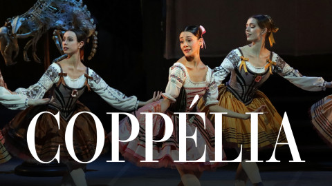 Coppélia - iVysílání | Česká televize