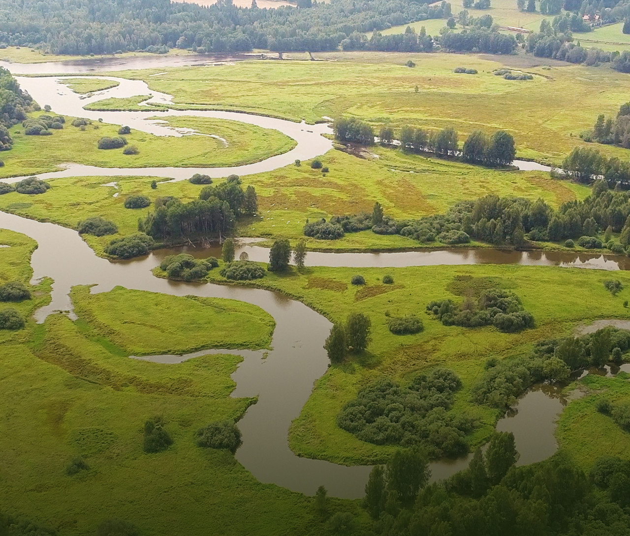 Vltava - zlatá řeka - iVysílání | Česká televize