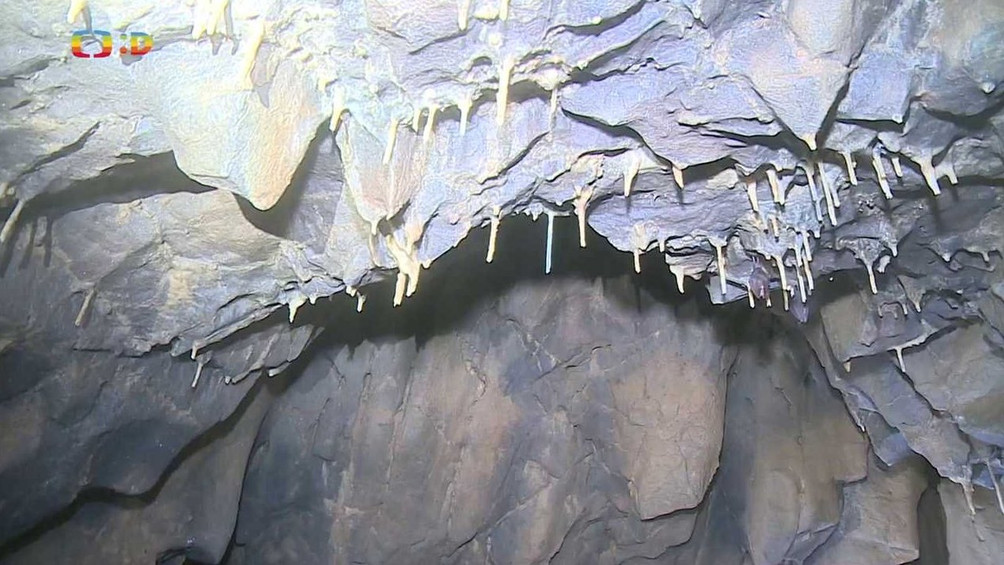 9. ledna 2024 - Zprávičky | Česká televize