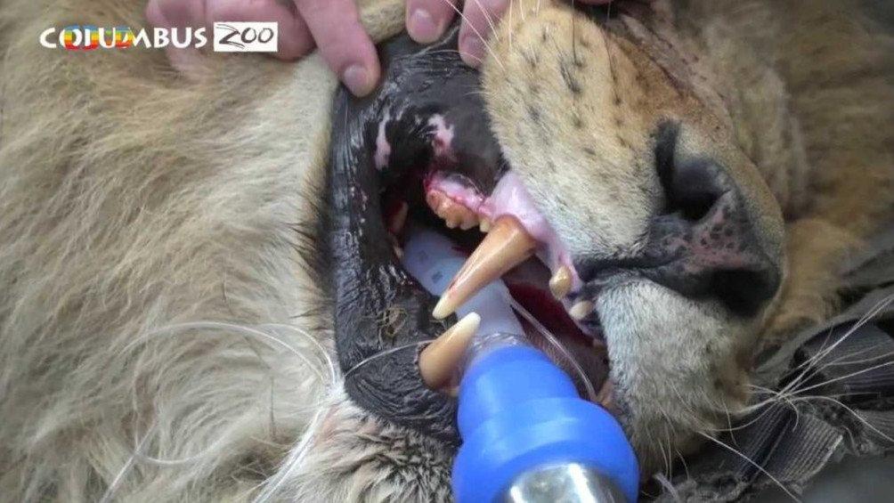 14. března 2018 - Zprávičky | Česká televize