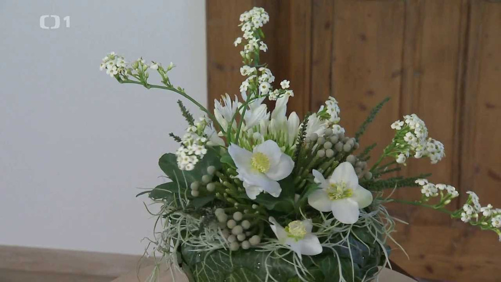 19. února 2023 - Polopatě | Česká televize