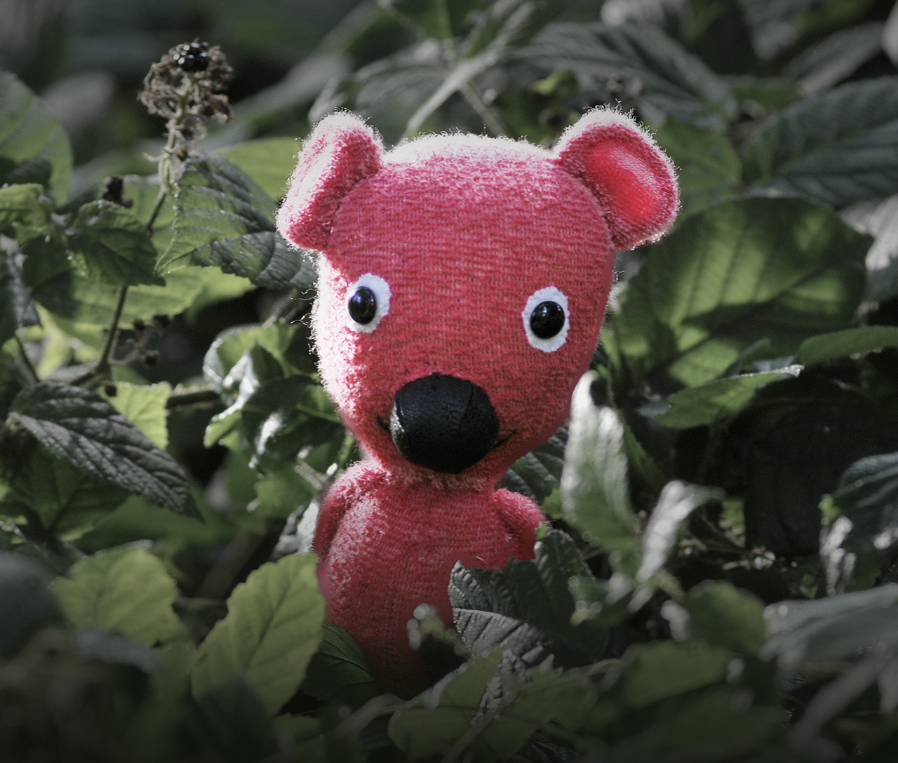 Kuky se vrací - iVysílání | Česká televize