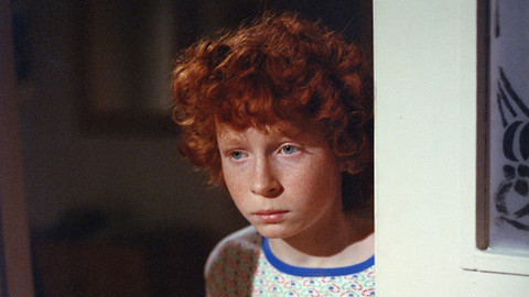 Kučírek versus Kučírek - iVysílání | Česká televize