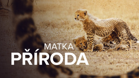 Matka příroda - iVysílání | Česká televize