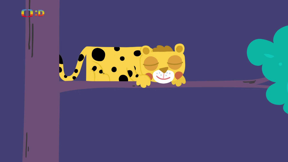 8/26 Leopard - Zvířáci | Česká televize