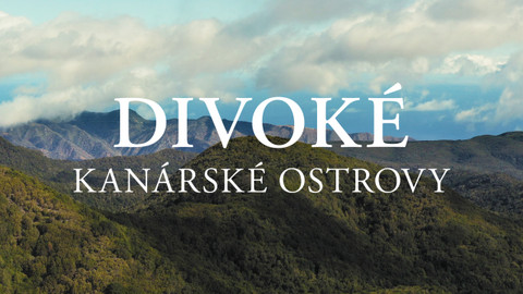 Divoké Kanárské ostrovy - iVysílání | Česká televize