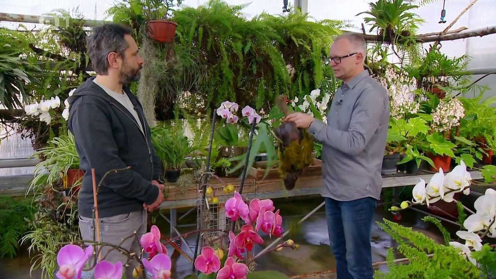 9. dubna 2023 - Polopatě | Česká televize