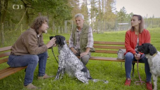 Konfliktní Sheila s Maggie: triky a rady - Konfliktní Sheila s Maggie a ...