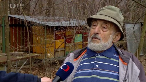 Úbytek včelstev a ceny medu - 1. března 2025 - Události | Česká televize