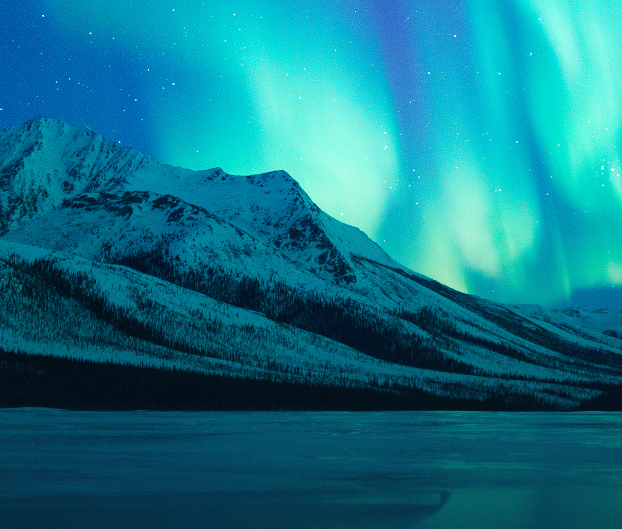 Americká Arktida - ohrožená země - iVysílání | Česká televize