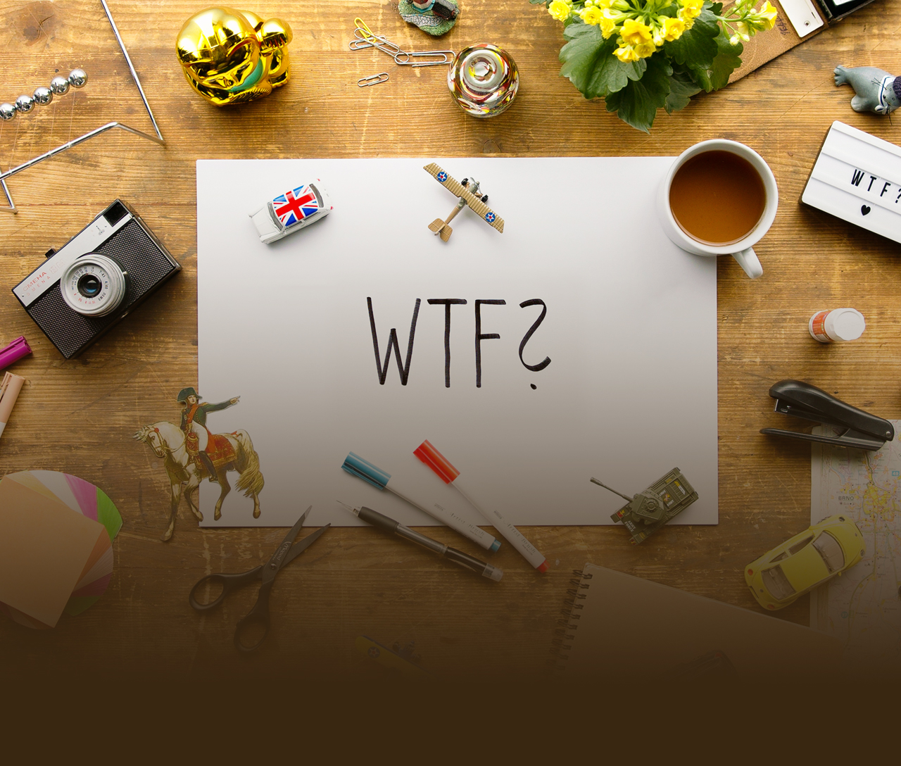 What the fact? - iVysílání | Česká televize