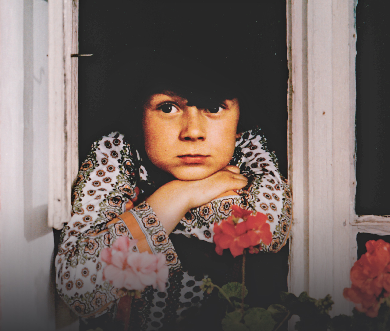 Prázdniny pro psa - iVysílání | Česká televize