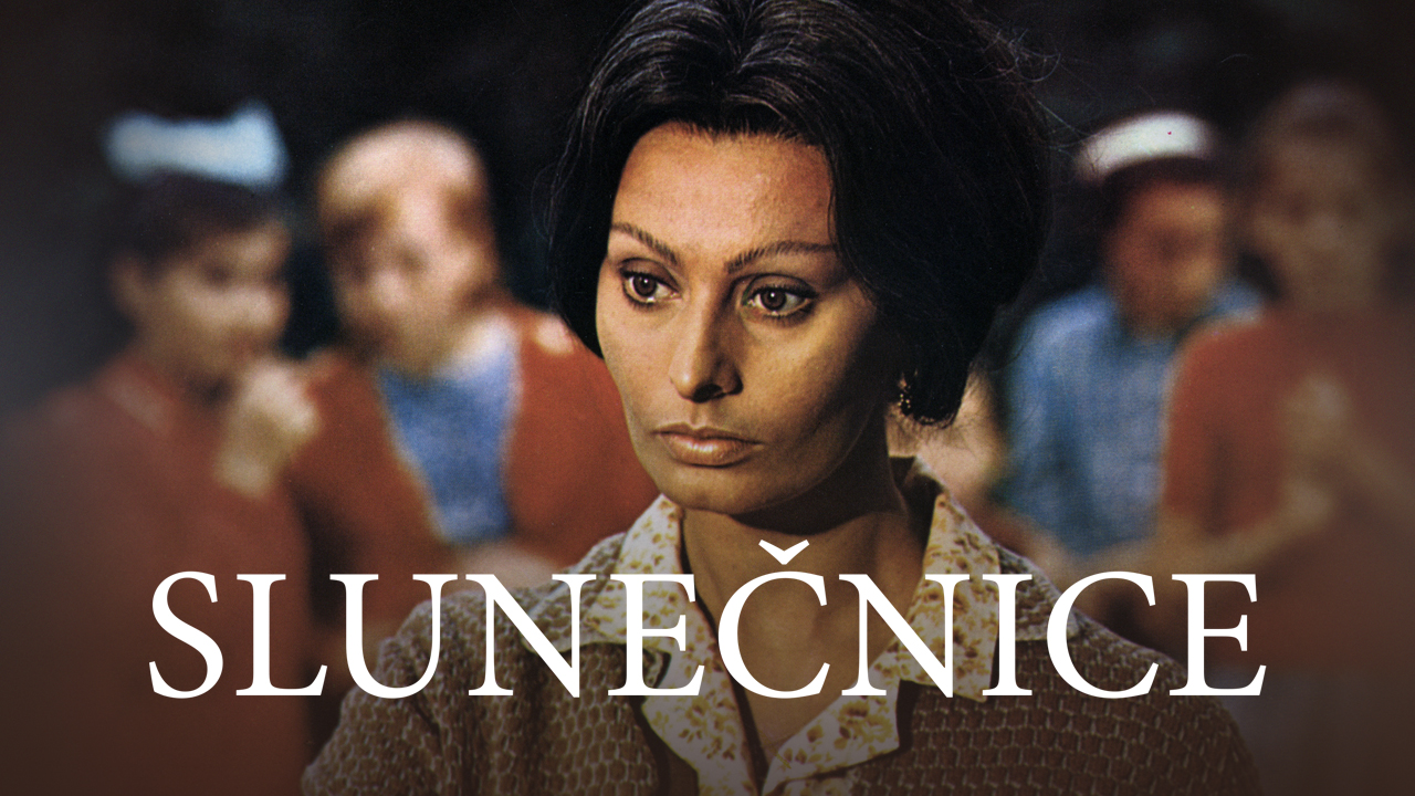Slunečnice - iVysílání | Česká televize