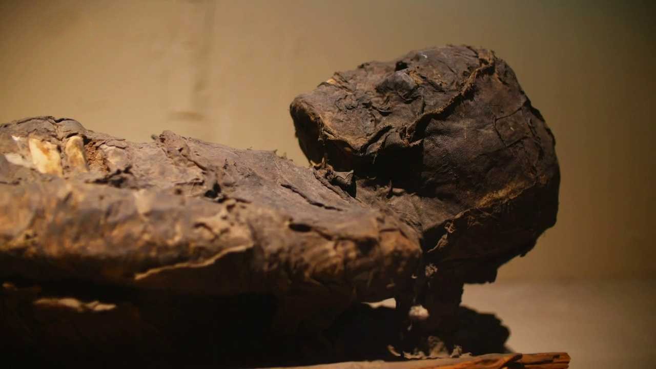 Egyptské mumie - skutečnost či velký podvod? - iVysílání | Česká televize