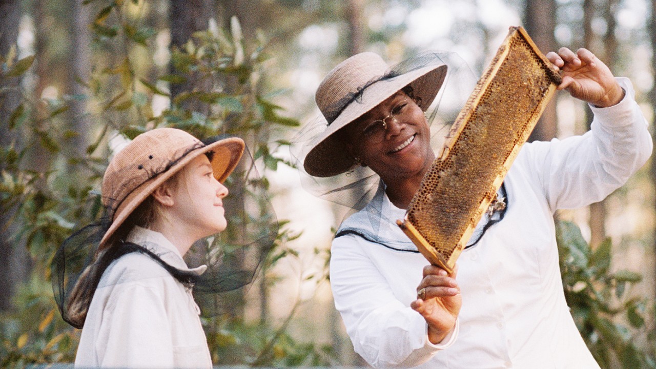 Tajný život včel - iVysílání | Česká televize