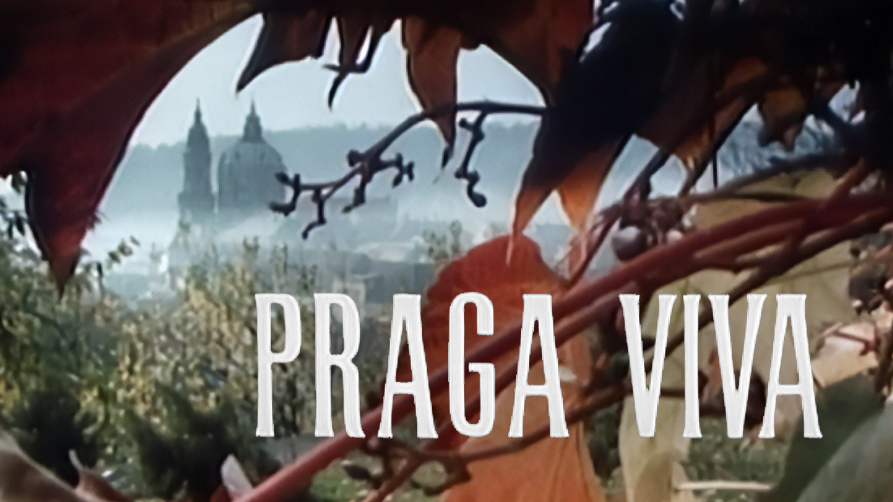 Praga viva - iVysílání | Česká televize