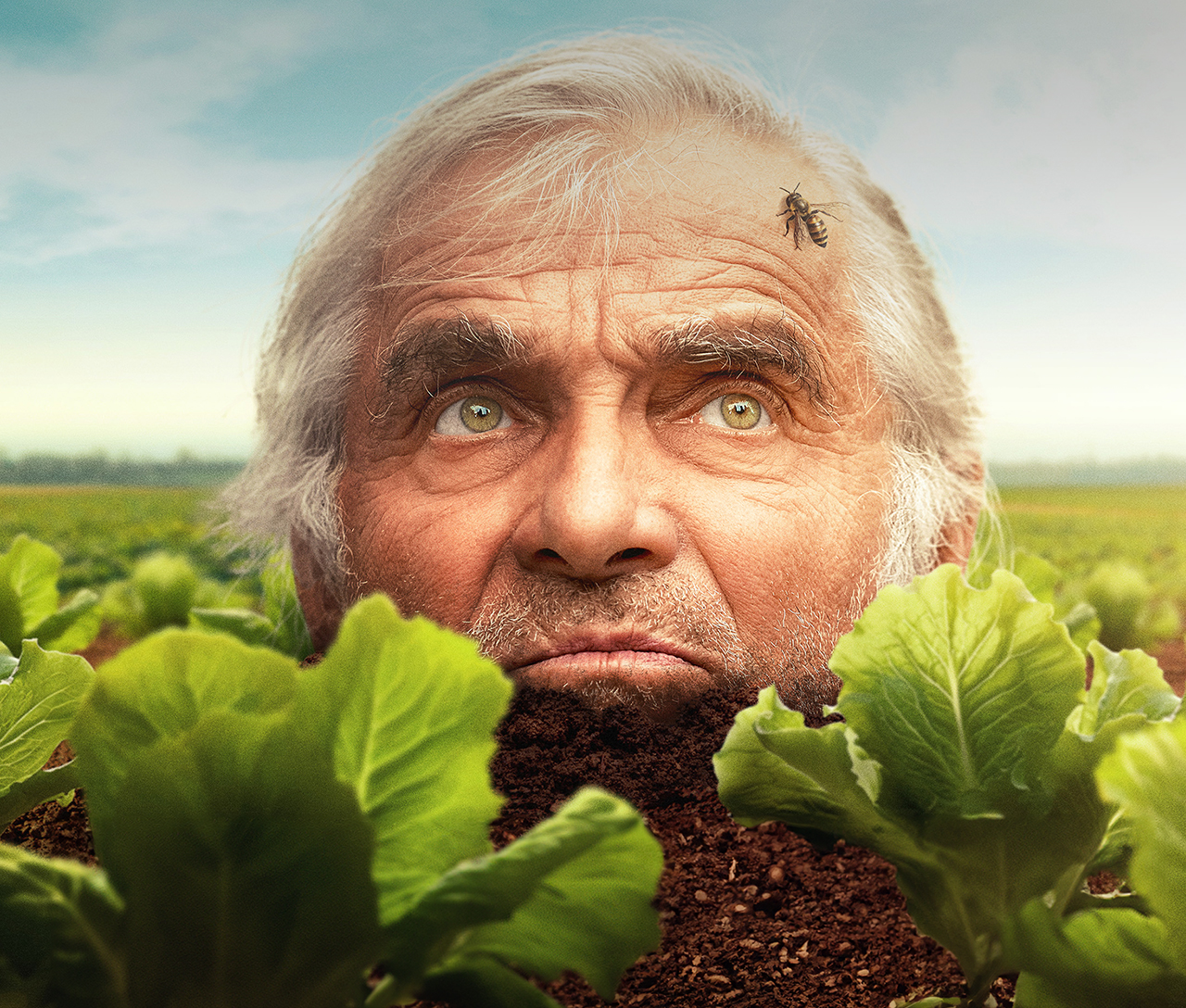 Zahradníkův rok - iVysílání | Česká televize