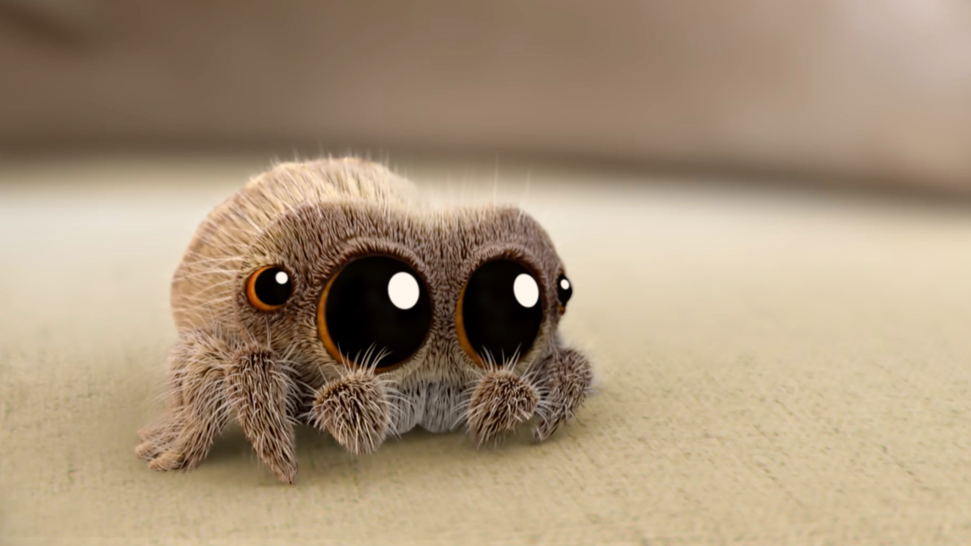 Pavouk Lukáš - iVysílání | Česká televize