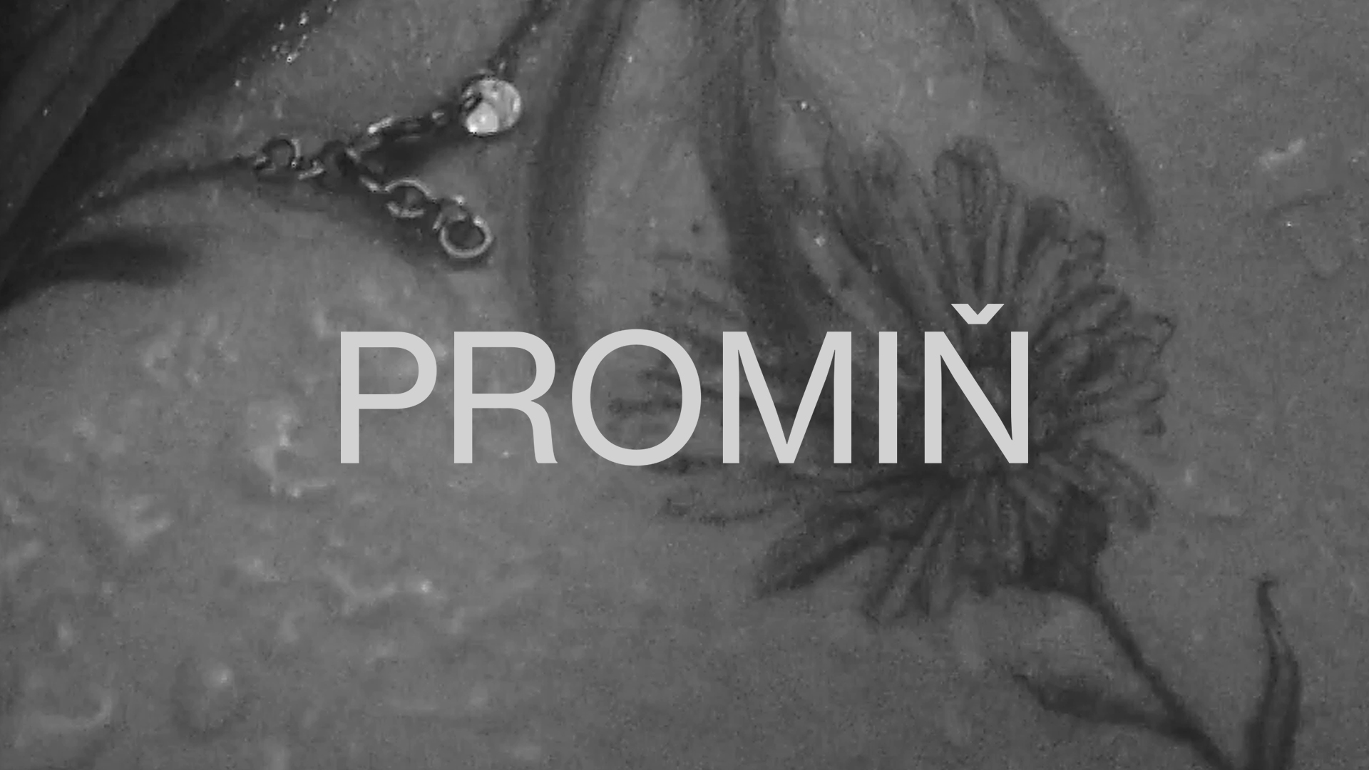 Promiň - iVysílání | Česká televize