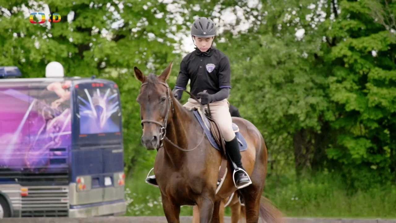 Epizoda 3/11 - Nejlepší zvítězí: Severní Amerika | Česká televize