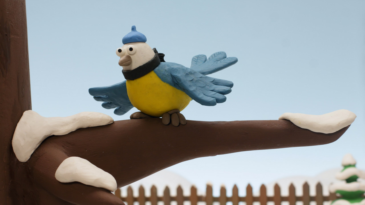 Sýkorka - Žížaláci | Česká televize