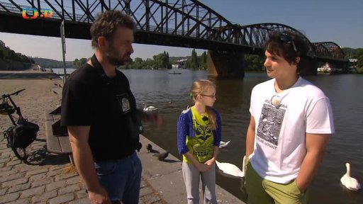 Ptačí sněm - Náš zvěřinec | Česká televize