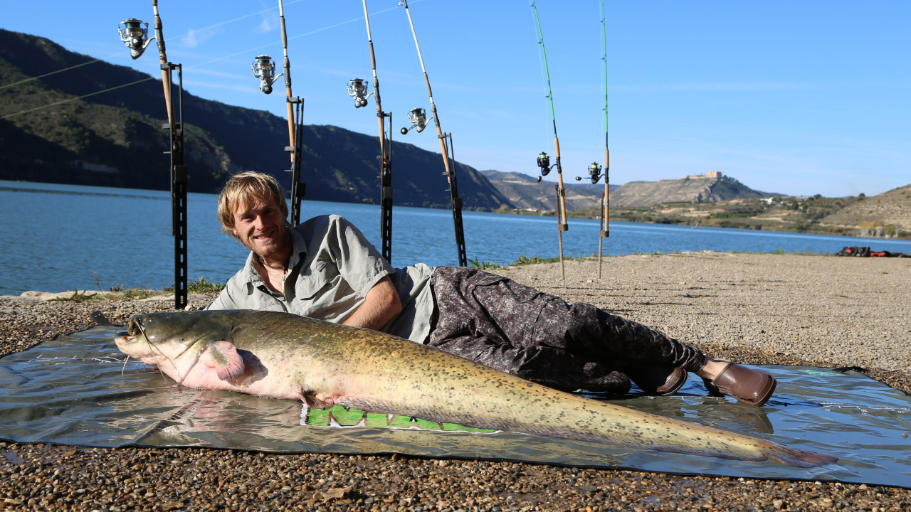 Sumec velký - Evropa - Rybí legendy Jakuba Vágnera | Česká televize