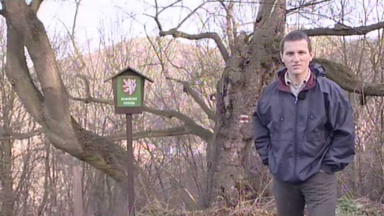 Masarykova babyka - Živé srdce Evropy | Česká televize