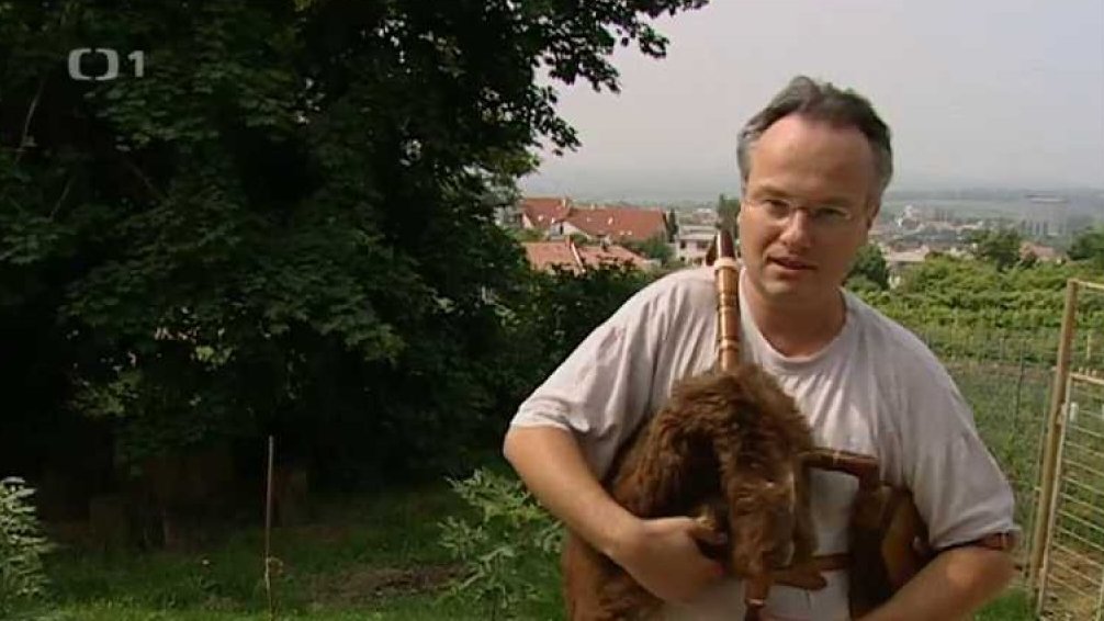 Gajdy na Moravě - Folklorika | Česká televize