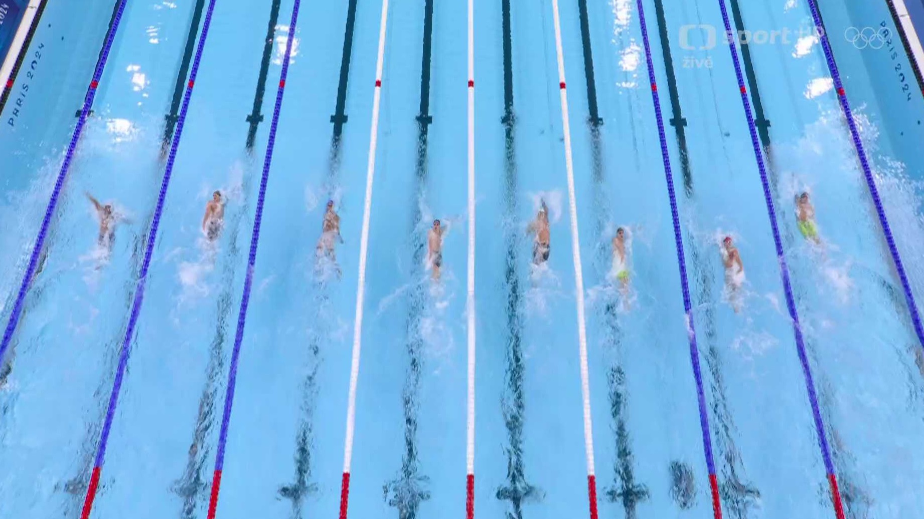 Plavání - XXXIII. letní olympijské hry 2024 Paříž | Česká televize